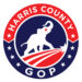 Julian Ramirez – For Houston City Council At-Large Position 1